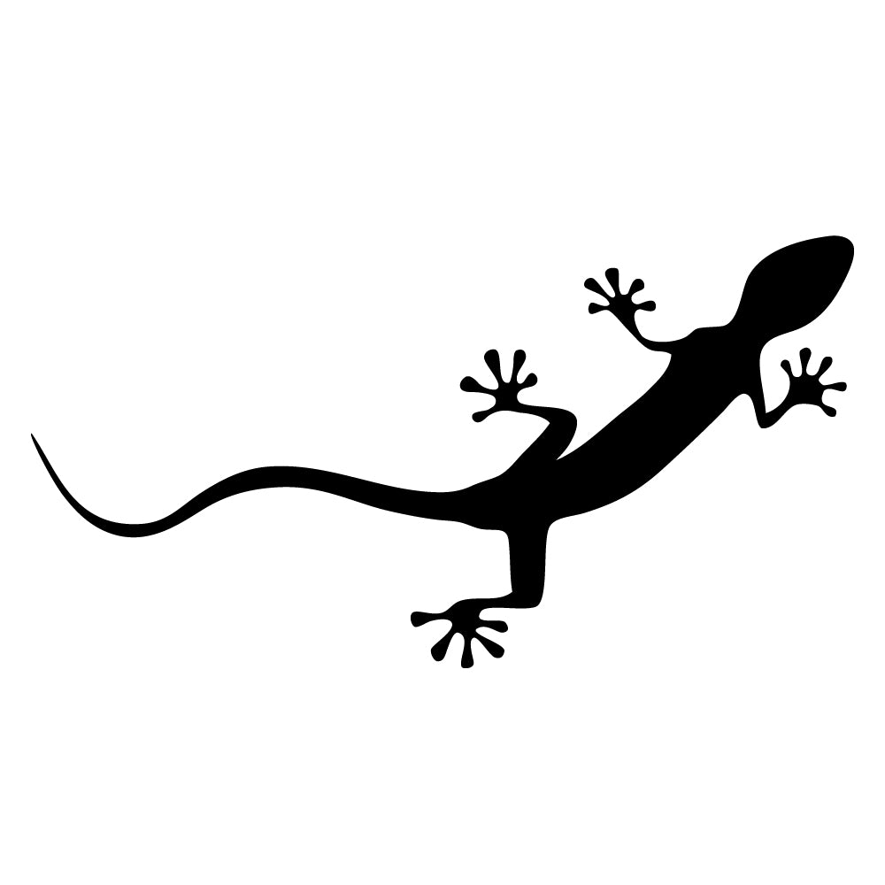 Audi Quattro Gecko 1 Decal Sticker – Decalfly