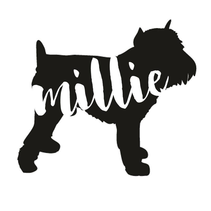 Brussels Griffon Dog Decal Sticker for Car Windows – Decalfly